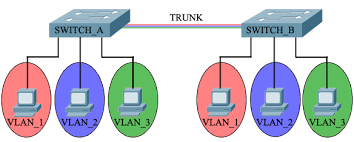 Understanding VLANs: Enhancing Network Efficiency and Security – DATANETMAN